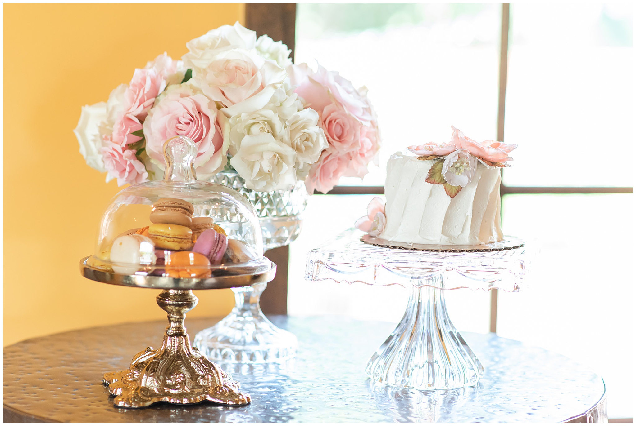 GILDA BRAND SESSION | NJ BRAND PHOTOGRAPHER